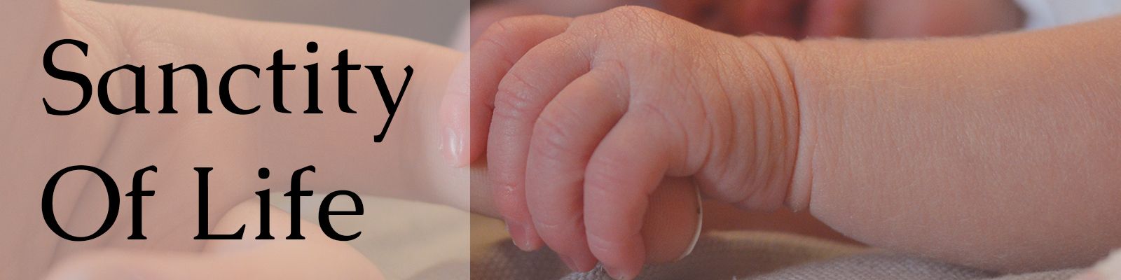 Sanctity of Human Life – Covenant Presbyterian Church